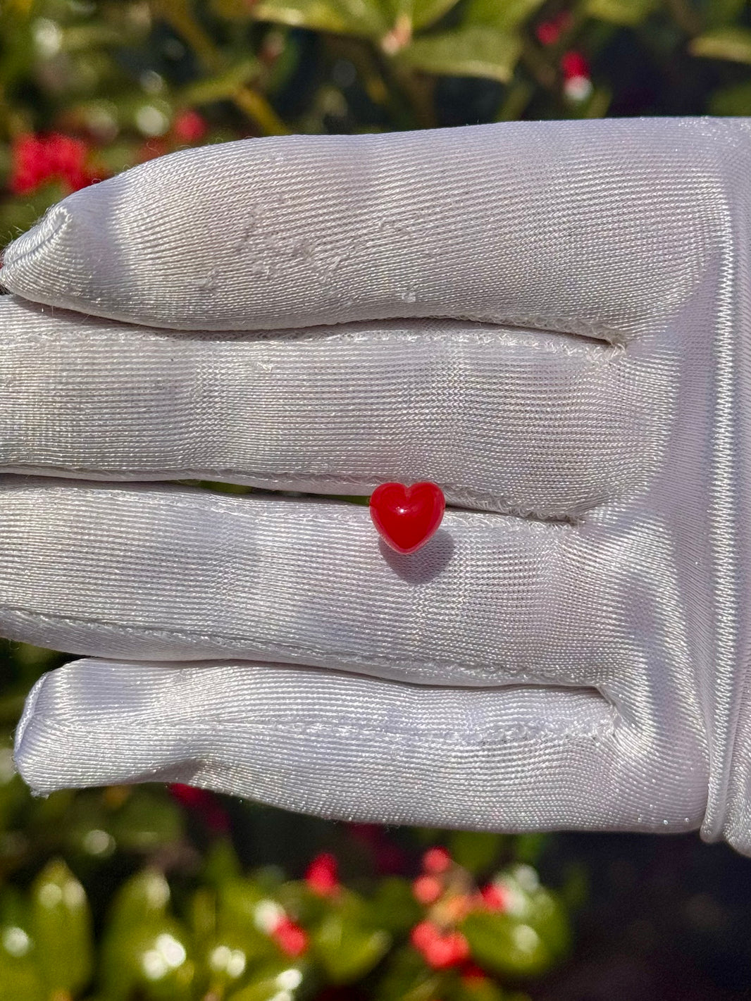 Products – THE PIERCING GALLERY